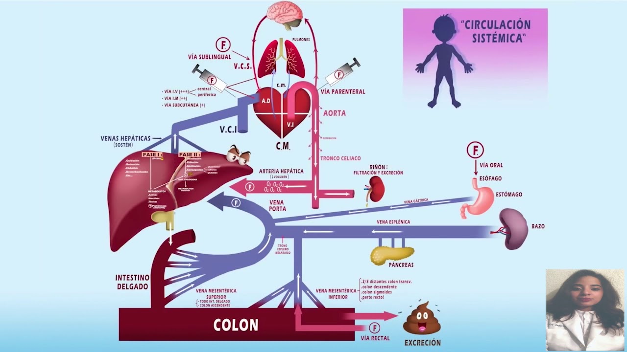 Absorción ,administración, distribución, cinética y depuración de los ...