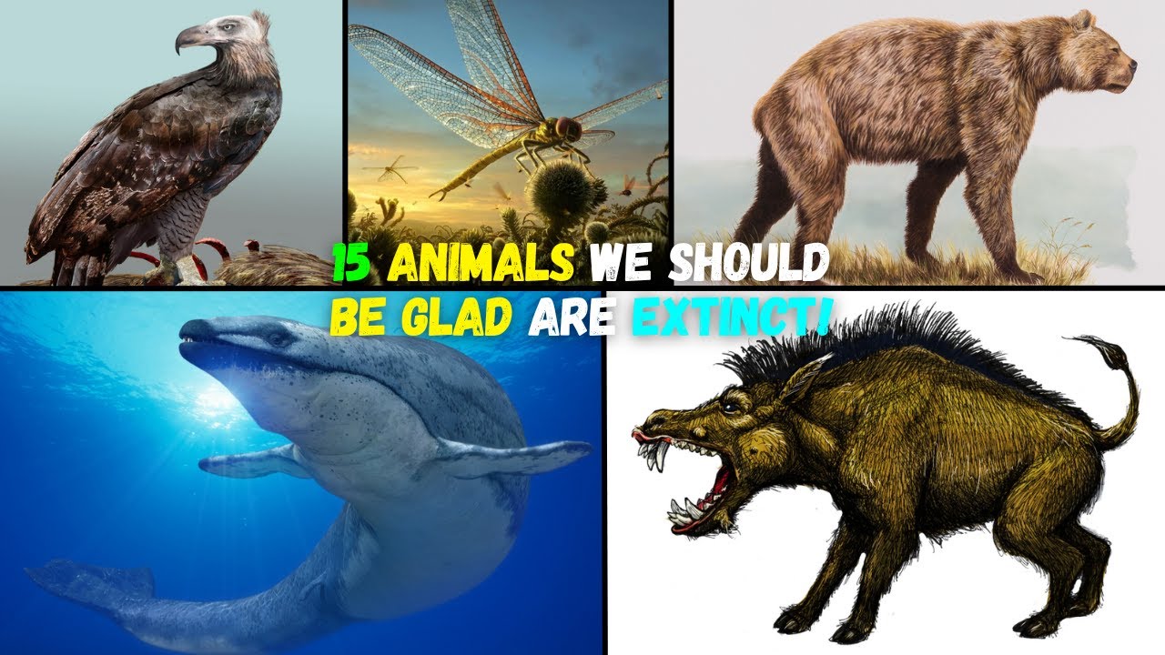 15 More Animals We Should Be Glad Are Extinct - YouTube