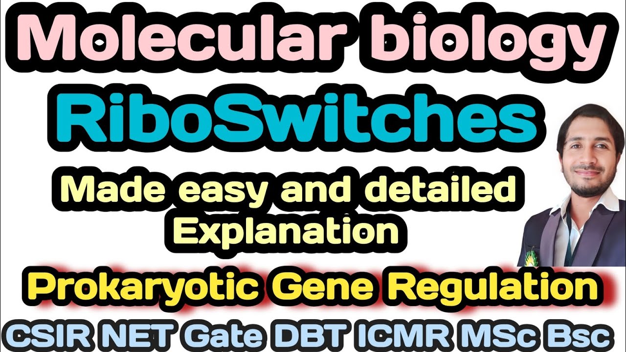 Riboswitches - The Regulatory RNA element & Structure & Mechanism of ...