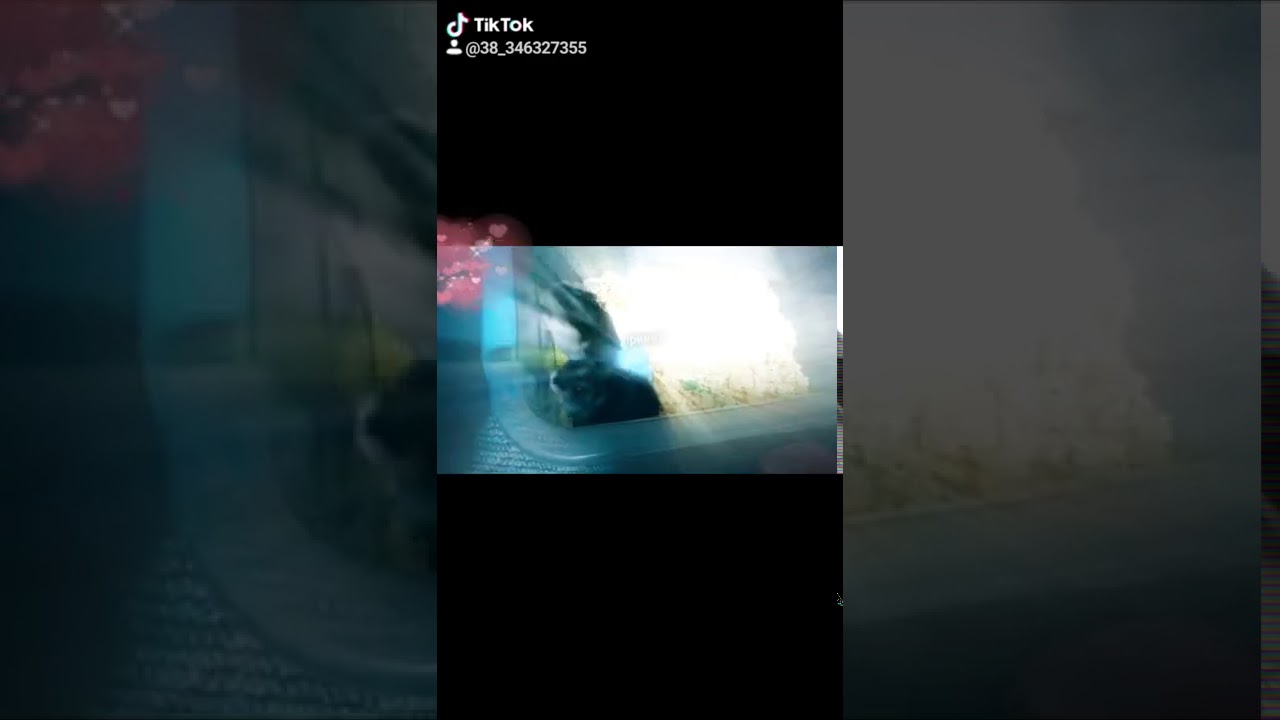 6666666666666666666666666666666666666666 - YouTube