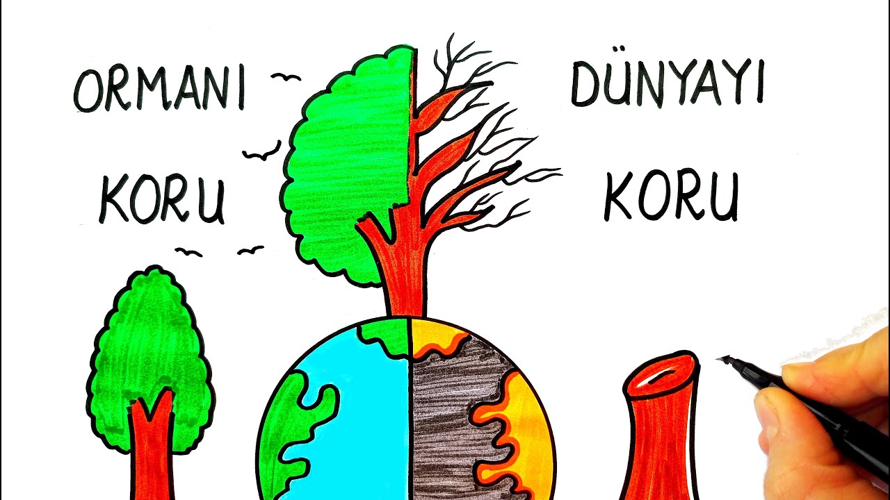 Orman Haftası Resmi Çizimi 🌲🌳 Orman Haftası İle İlgili Resim Çizimi ...