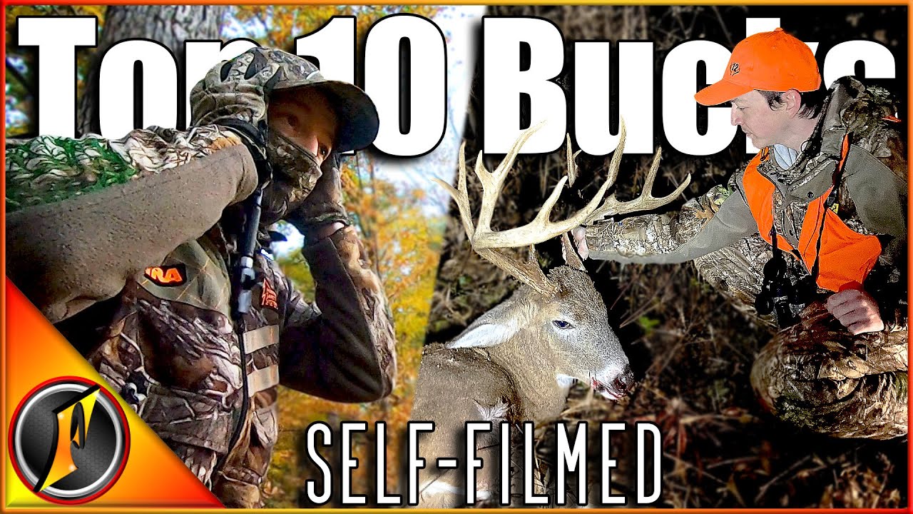 My TOP 10 BUCK Encounters (And Harvests!) - All Self-Filmed! - YouTube