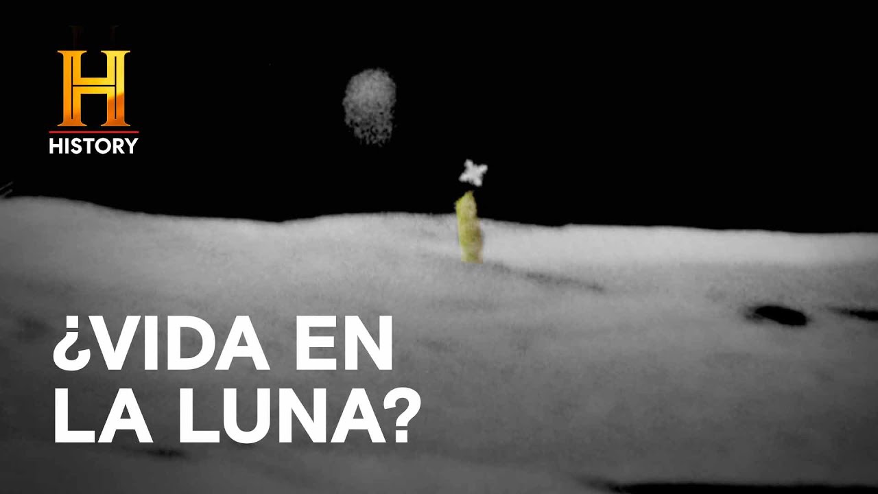 ¿VIDA EN LA LUNA? - INEXPLICABLE CON WILLIAM SHATNER - YouTube