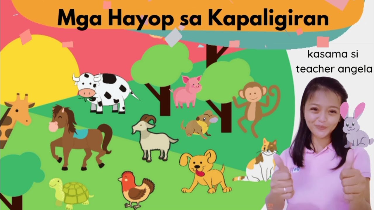 Animals in the environment l tagalog l - YouTube