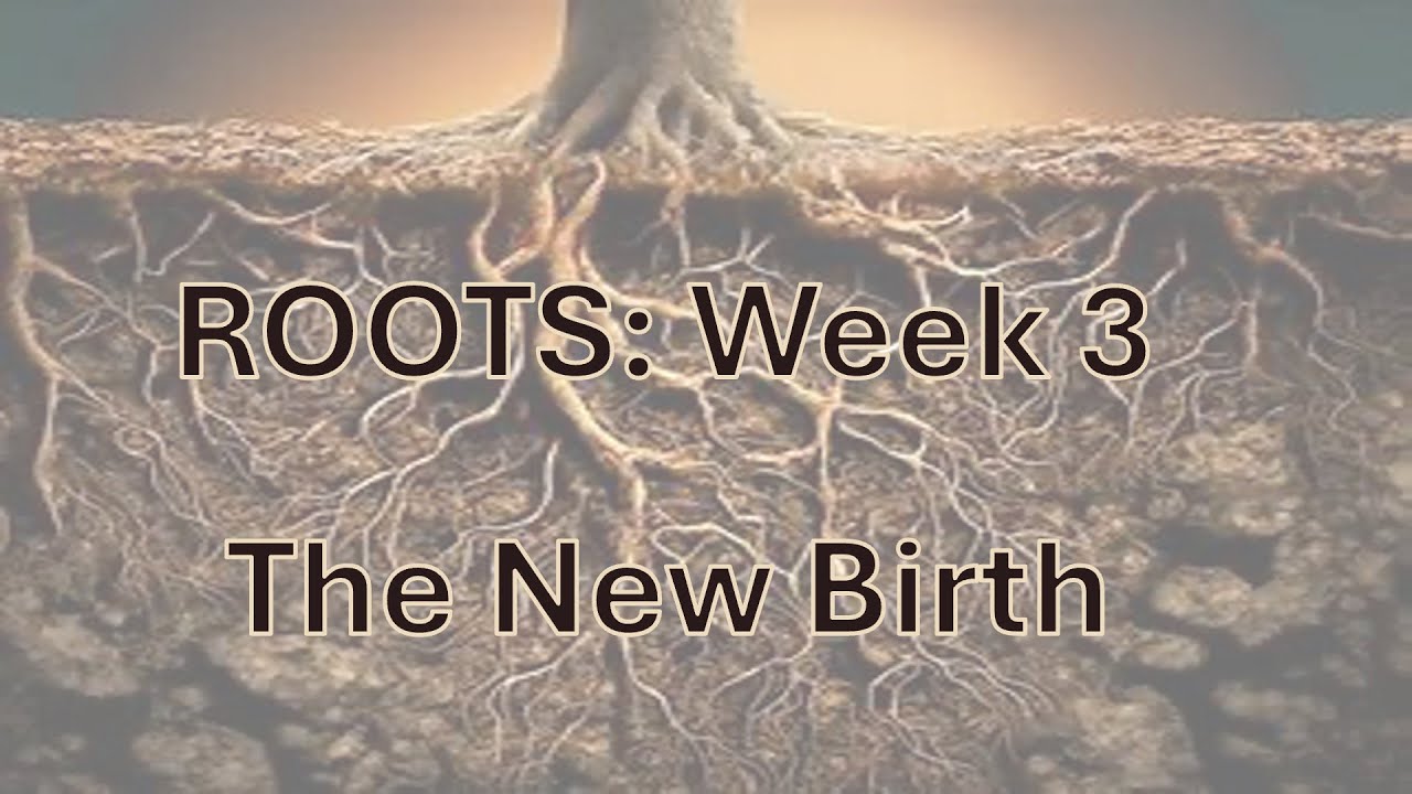 The New Birth | Jeremy Barbour (Roots pt3) - YouTube