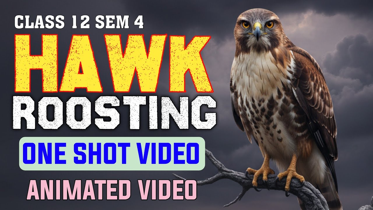 Hawk Roosting : Animated Poem || Ted Hughes || Class 12 Sem 4 || One ...