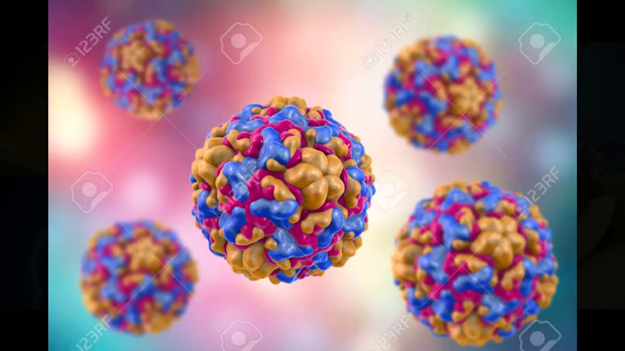 GRIPA E INFECCIÓN POR RINOVIRUS CAUSAS SÍNTOMAS Y TRATAMIENTO - YouTube