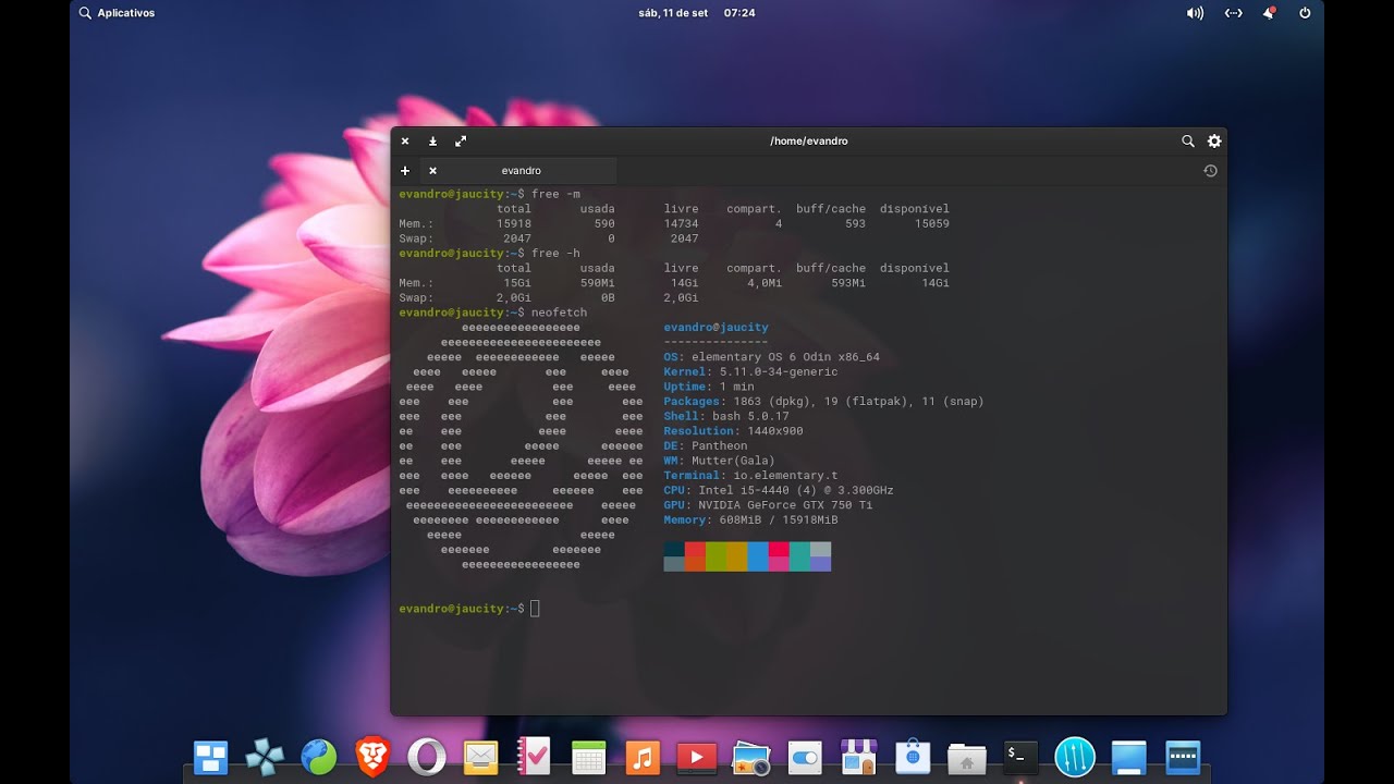 Elementary OS 6 Odin (GNU/Linux) - visão geral do sistema - versão ...