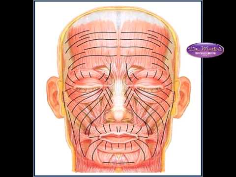 Botox training - YouTube