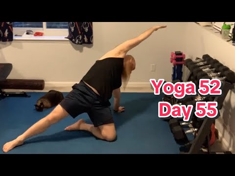 Yoga 52: Day 55 - Flexibility Flow w/ David - Class 24: Level 2 - YouTube