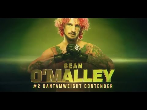 Sean O'Maley Won the UFC 292 Bantamweight Title at TD Garden, Boston ...