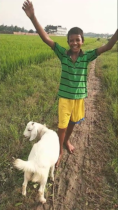 dhiraj Raj arya bokaji wala comedy video - YouTube