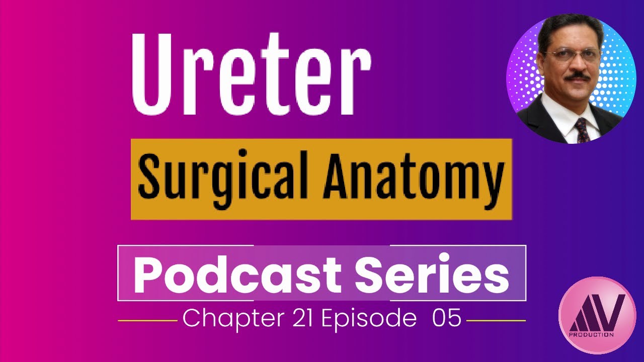 Surgical Anatomy of Ureter Ch 21 Ep 05 - YouTube