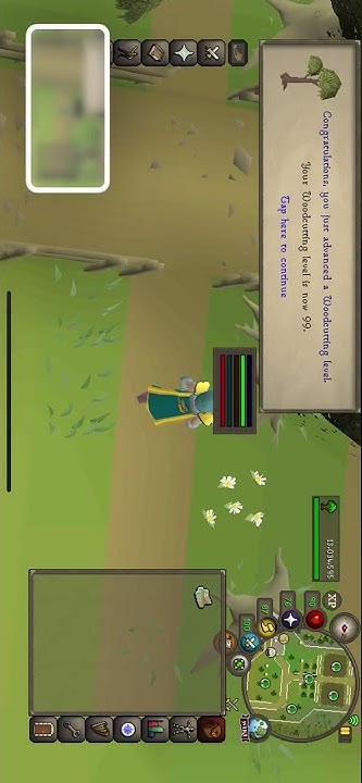 Finally hit 99 WC OSRS 🎉 - YouTube