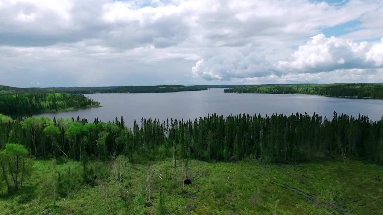 Anaway & Wild Bull From Above With The Grassman - June 4, 2017 - YouTube