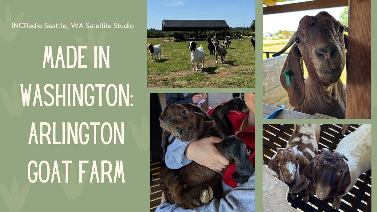 Made in Washington: Arlington Goat Farm | Seattle, WA Satellite Studio ...