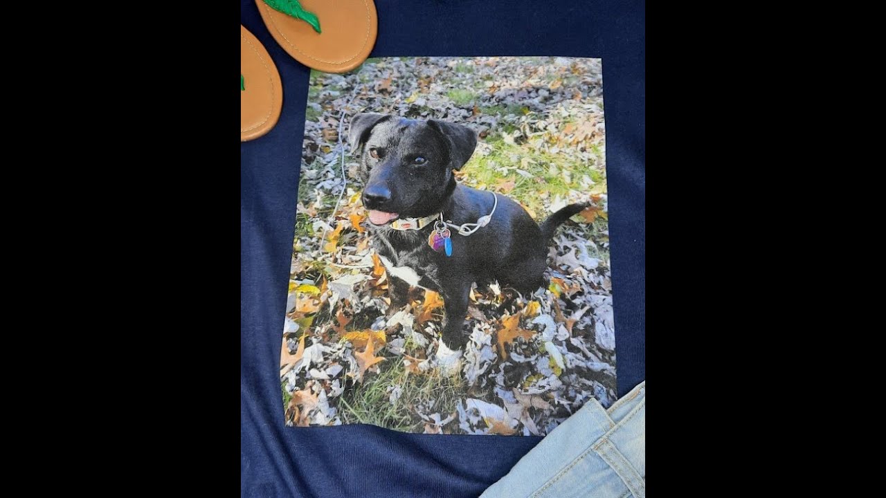 DTG Printing my Dog on a T-shirt - Brother Printer - YouTube