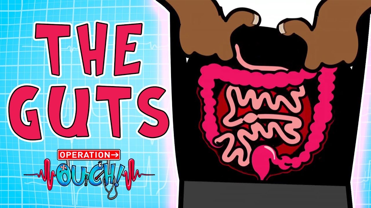 Operation Ouch - The Guts | Biology Lessons for Kids - YouTube