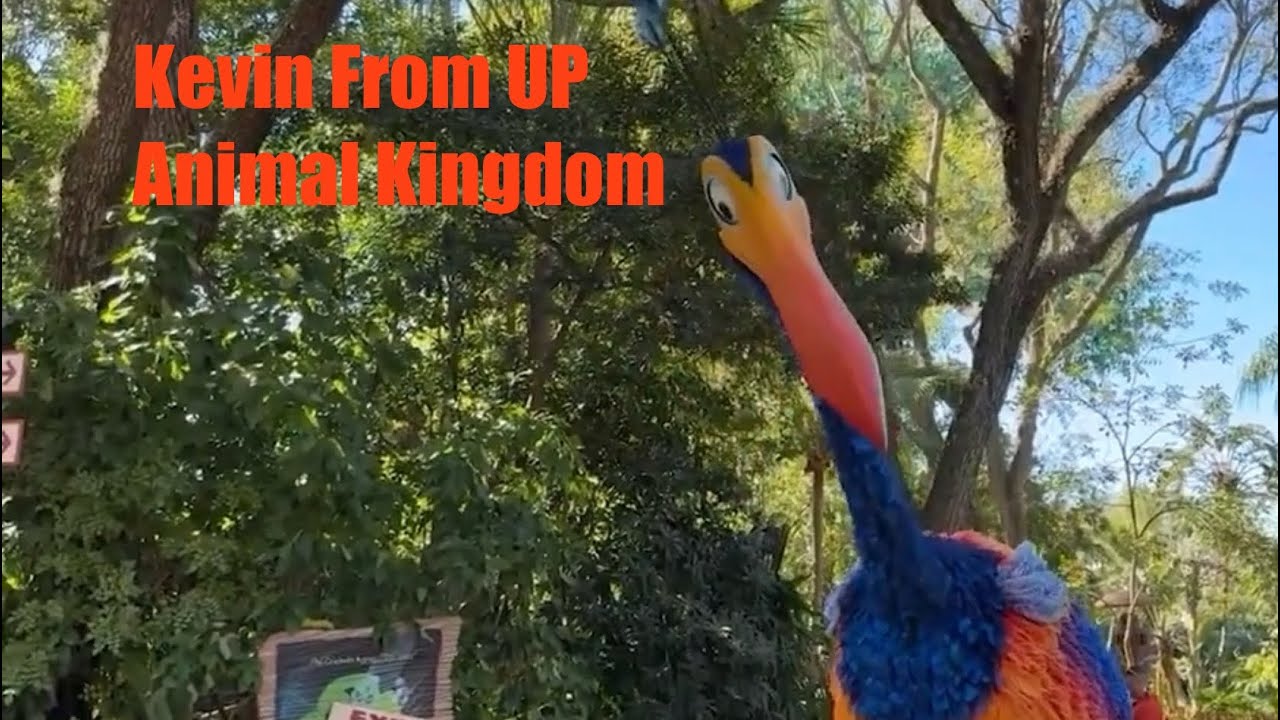 Kevin from the movie UP at Animal Kingdom Disney World - YouTube