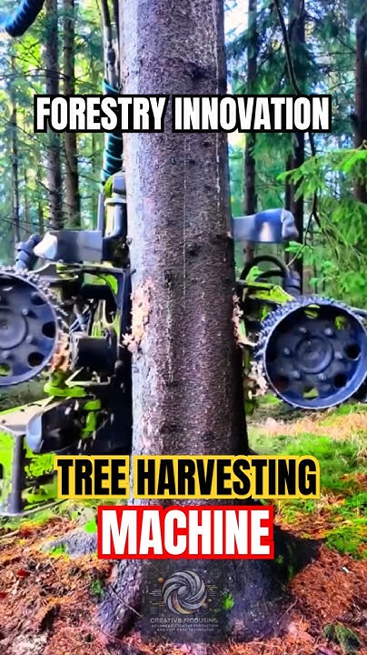 Latest Innovation in Forestry – Super Fast Tree Harvester - YouTube