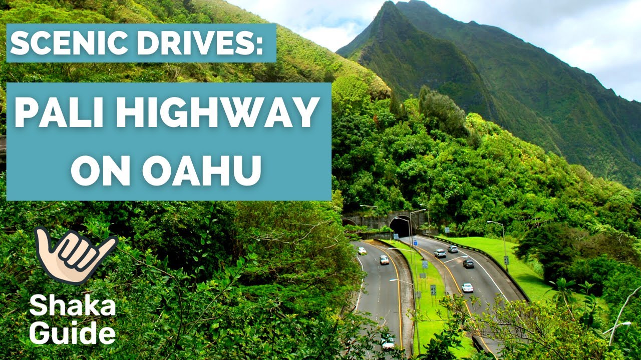 Scenic Drive through the Pali Highway on Oahu! - YouTube