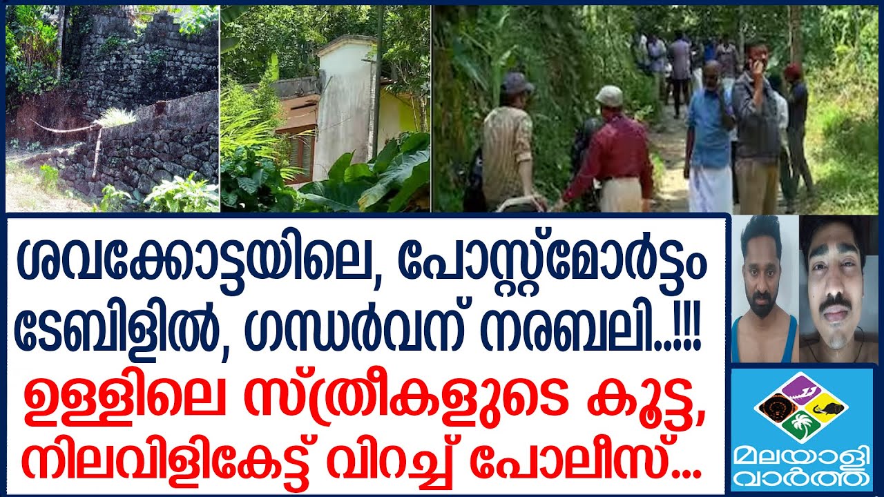Kattappana കട്ടപ്പനയിൽ സംഭവിച്ചത്... - YouTube