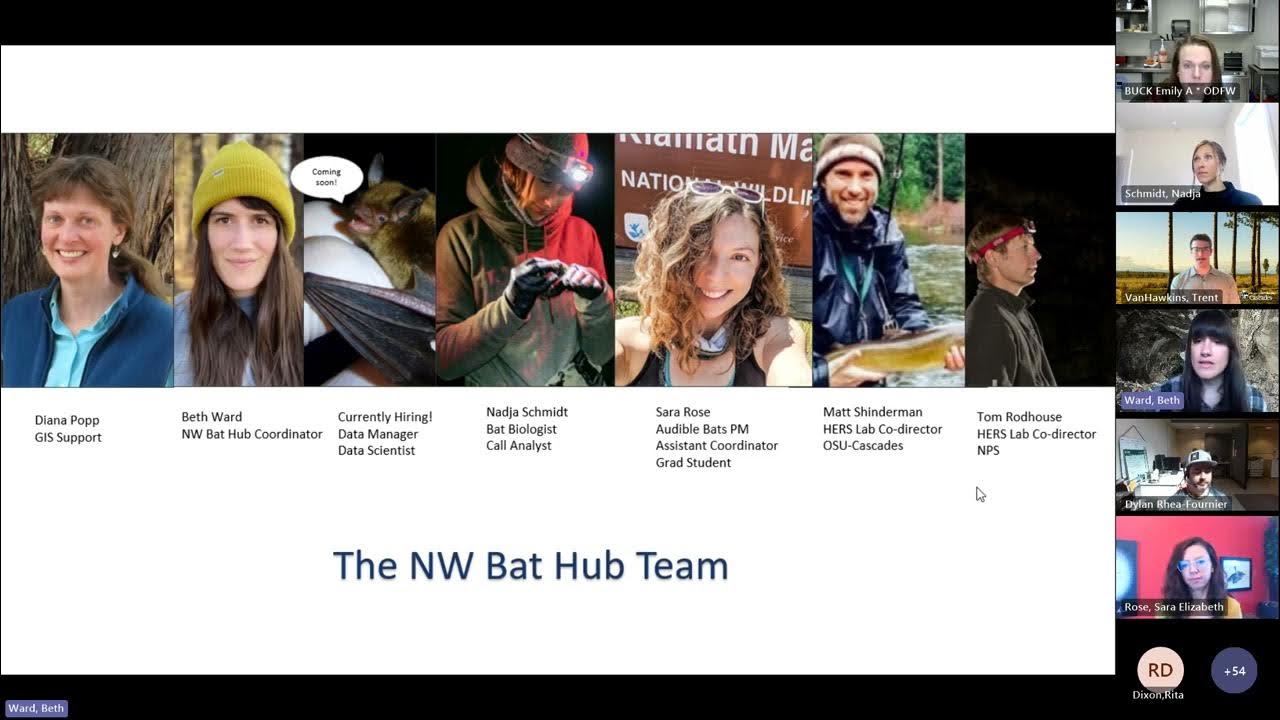 2024 NW Bat Hub Partners Meeting - YouTube