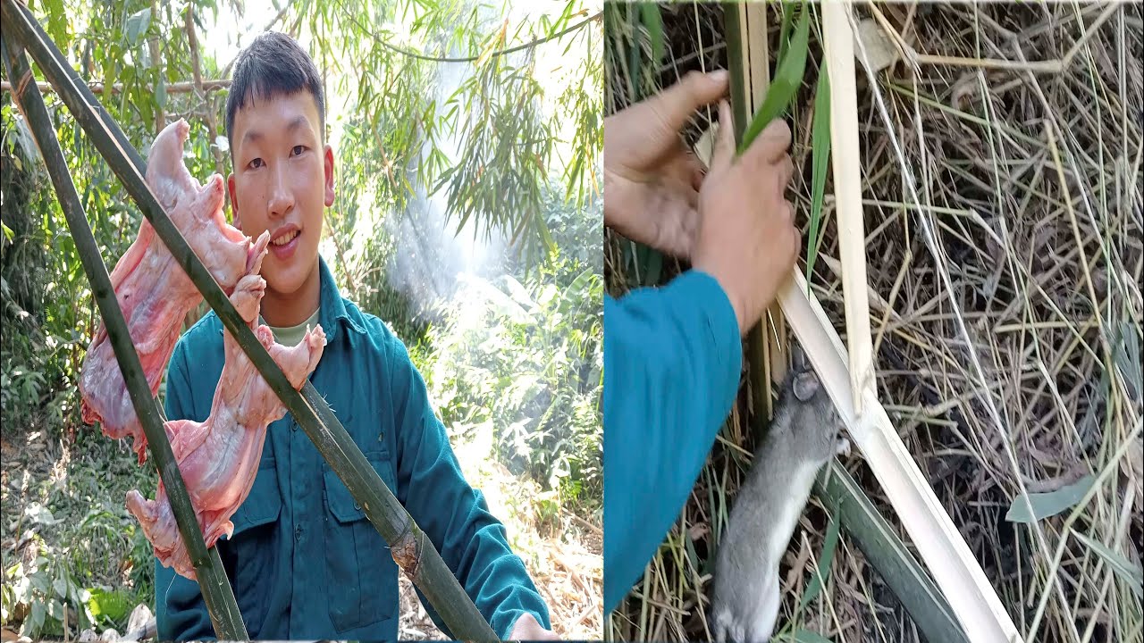 medieval animal traps \ delicious wild rat - YouTube