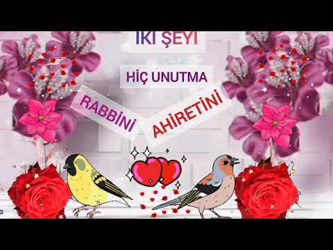 🌹Hayırlı Akşamlar🌹Dini Mesajlar🌹En Güzel Dini Anlamlı Sözler🌹Sesli 🌹Sözlü🌹Resimli🌹Dini Videolar🌹