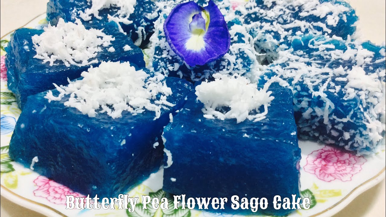 Butterfly Pea Flower Sago Cake 蝴蝶豌豆花甜点 | Simple Healthy Dessert - YouTube
