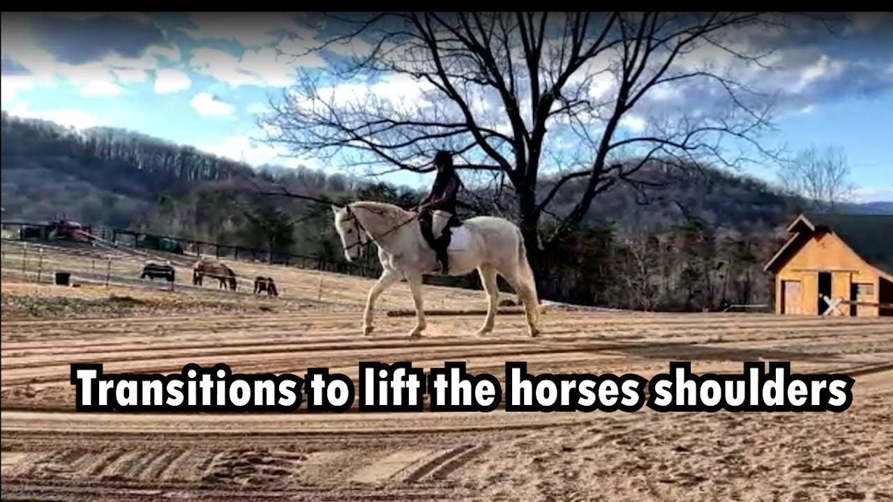 Use transitions to create lift in your horse - YouTube