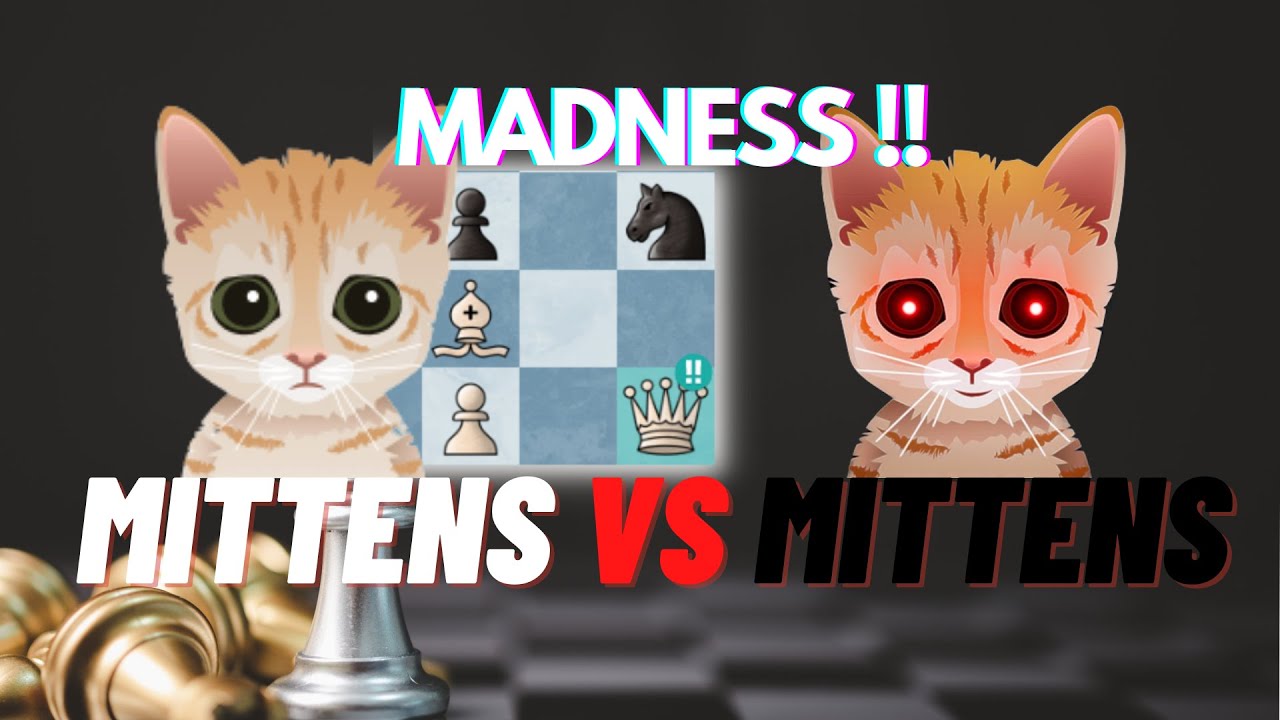 Mittens Vs Mittens : A complete madness ? - YouTube