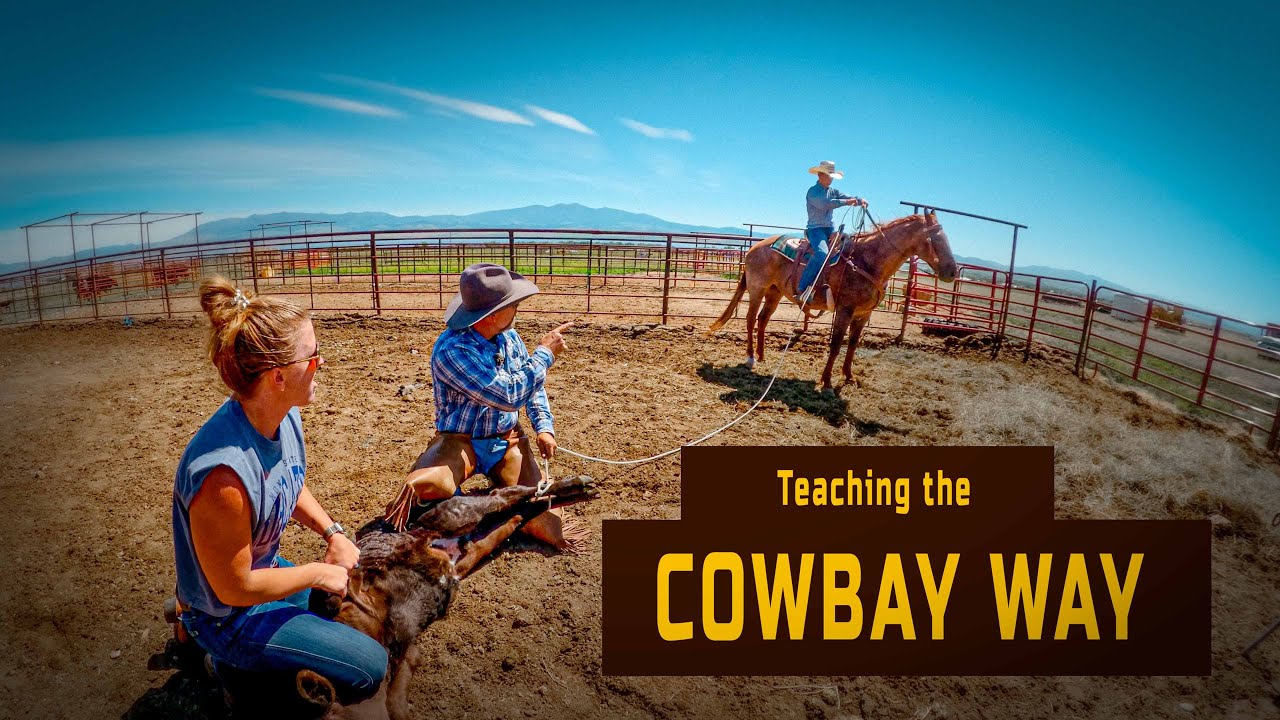 Teaching The Cowboy Way! DANGEROUS JOBS! - YouTube