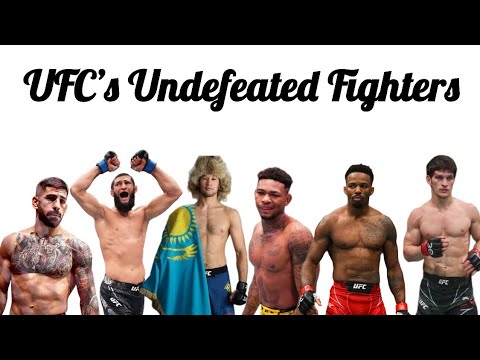 Who will UFC’s undefeated fighters lose their 0’s to??? - YouTube