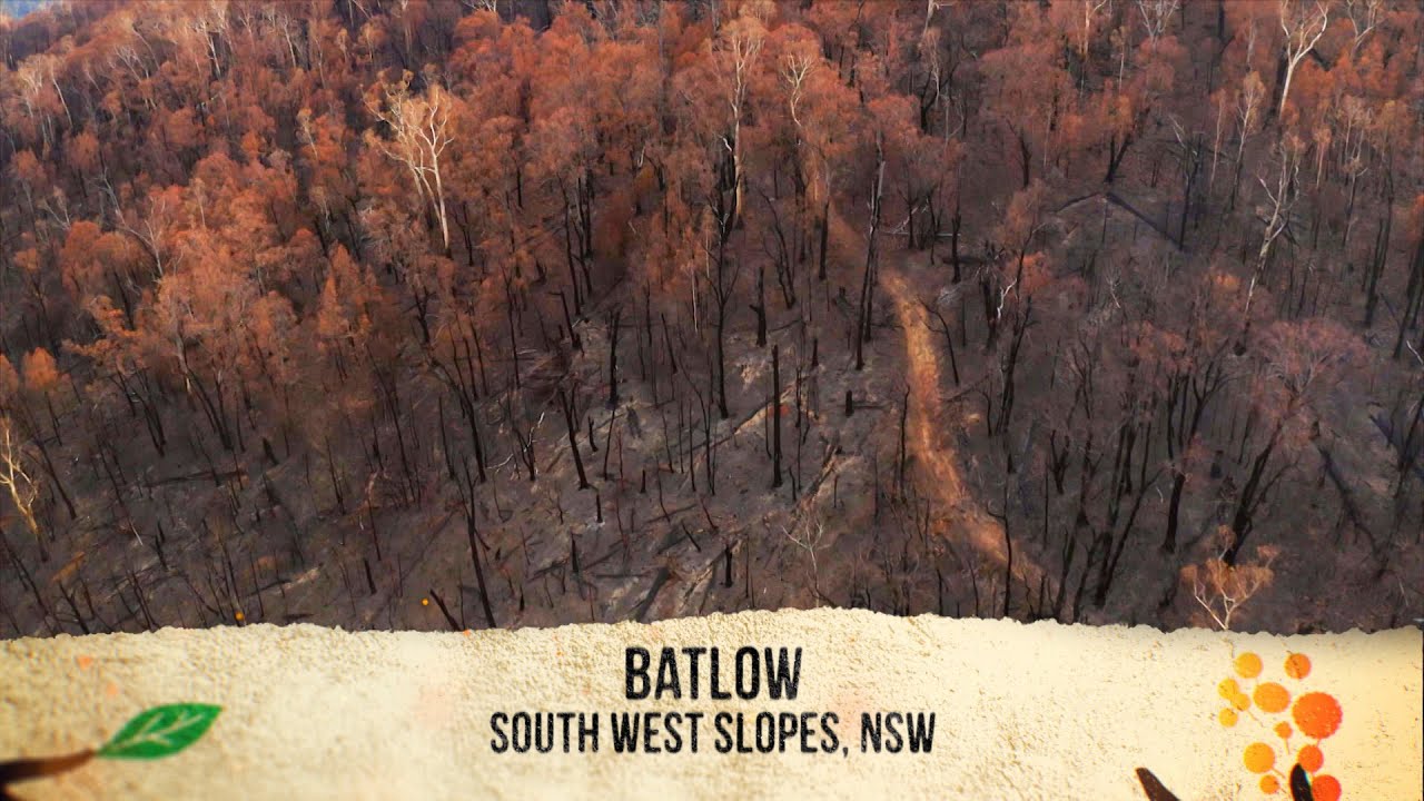"Batlow" package for Fire Fight Australia (Foxtel, Feb 2020) - YouTube