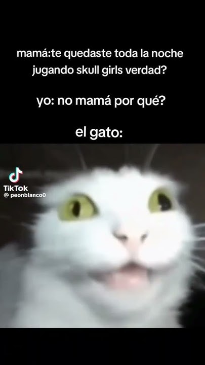 el gato XD- - YouTube