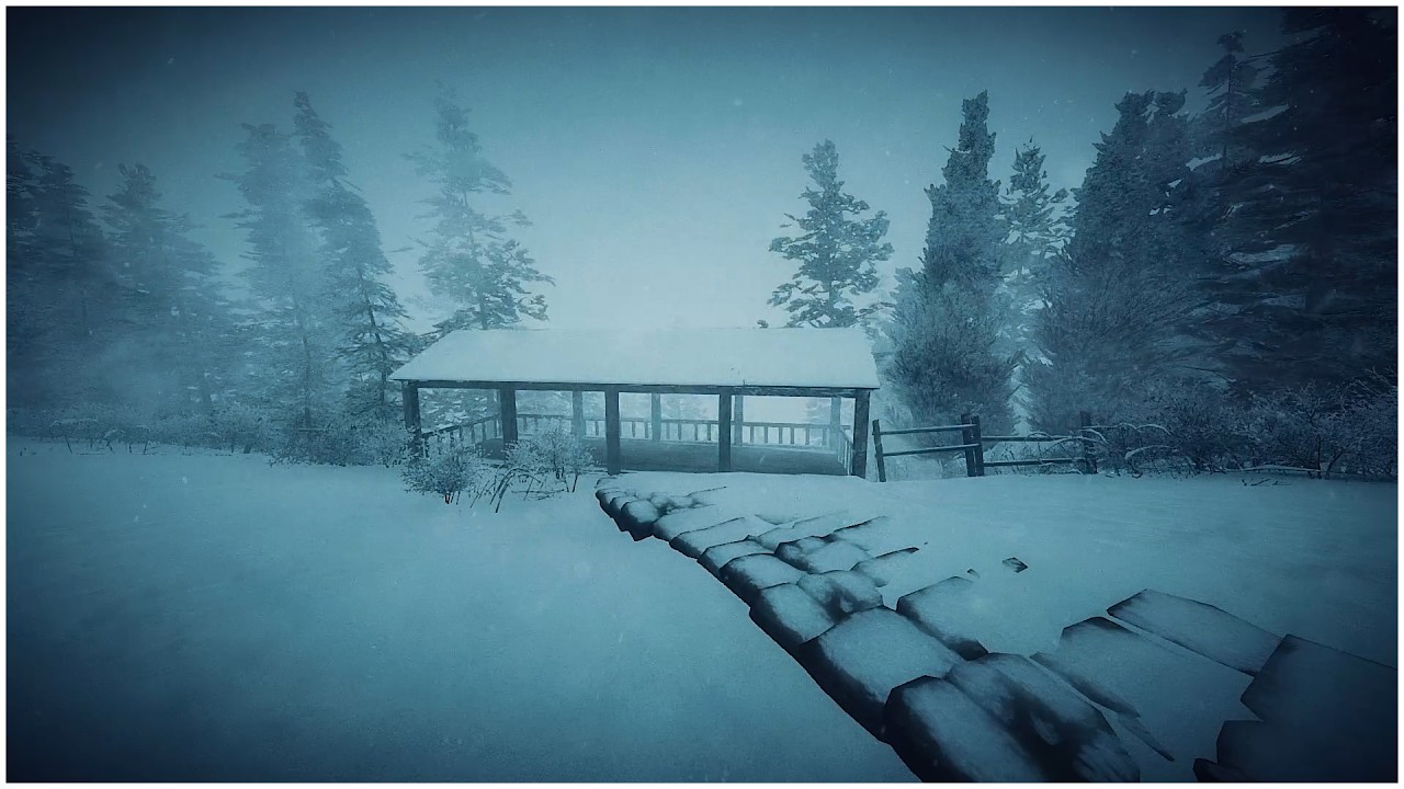Frosty Snow Storm Wind & Howling Blizzard Storm┇Winter Snow Ambience ...