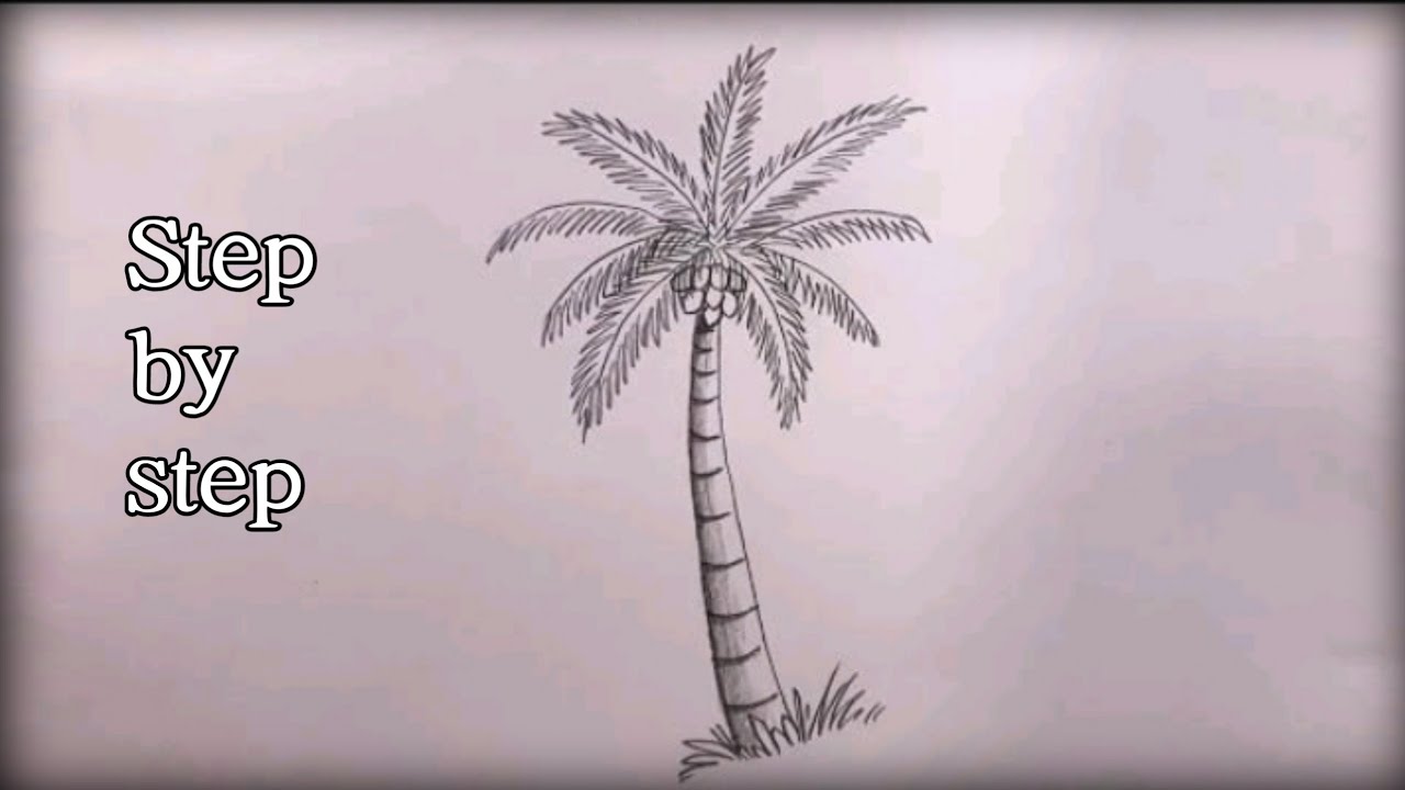 coconut tree drawing easy | how to draw coconut tree - YouTube