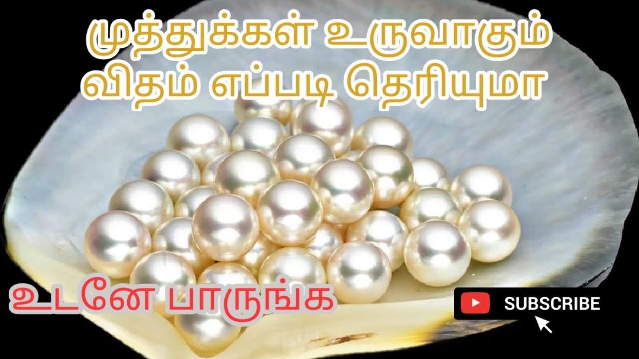 How pearls are formed and how it is formed in external condition - YouTube
