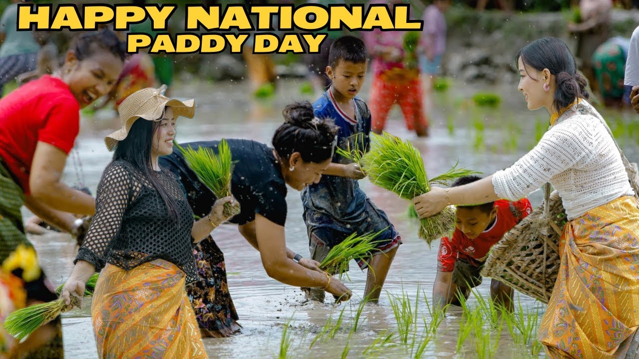 Happy National Paddy Day.🌾 - YouTube