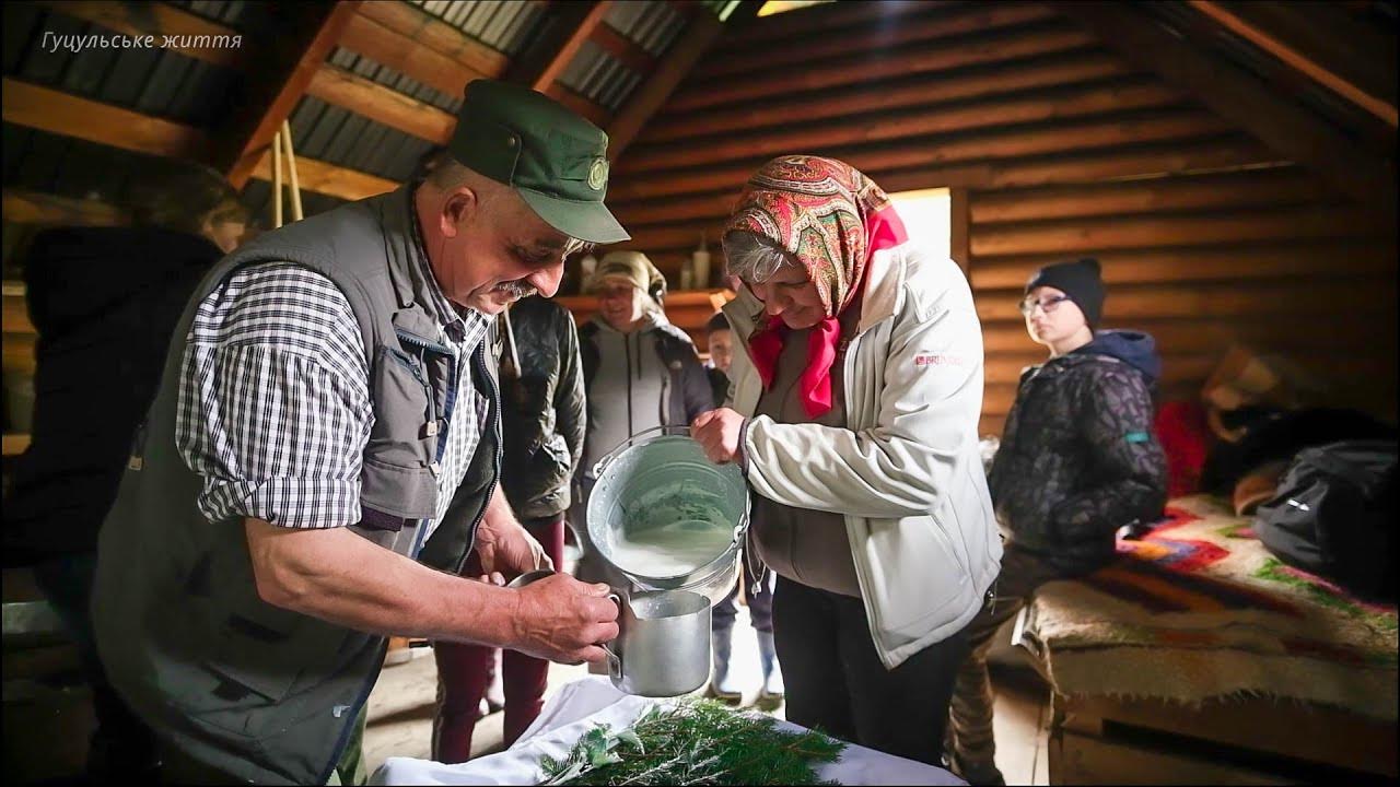 Документальний фільм про вівчарство 2023р Вихід овець на полонини