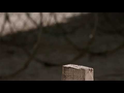 Jean Claude Van-Damme \