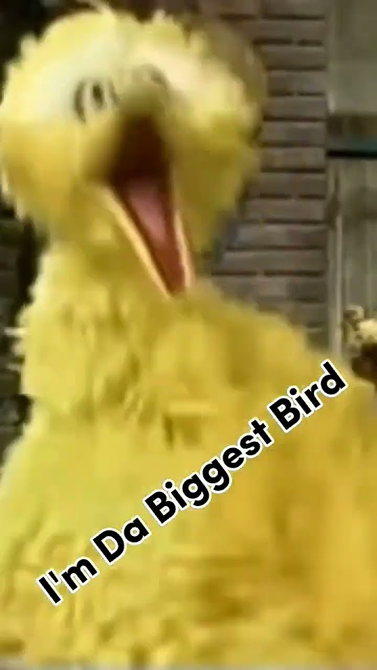 Im Da Biggest Bird Youtube