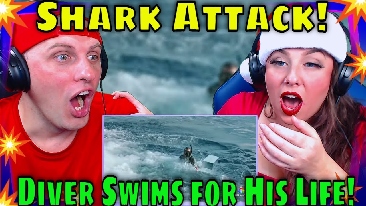 Reaction To Shark Attack! Diver Swims for His Life! | Great White Open ...