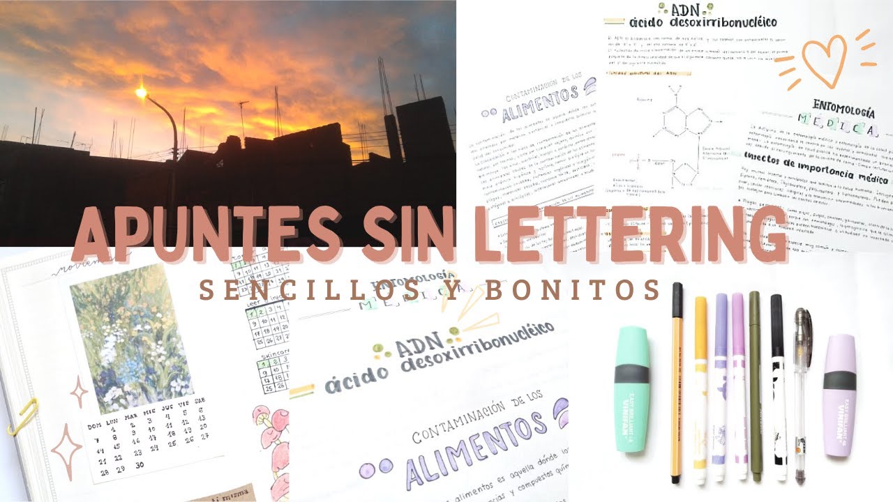 Apuntes bonitos y sencillos sin LETTERING - con pocos materiales 🌱 ...
