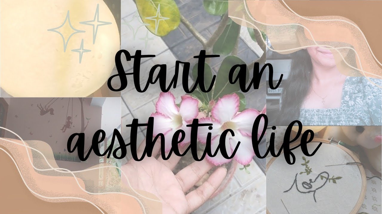 Start an aesthetic life - YouTube