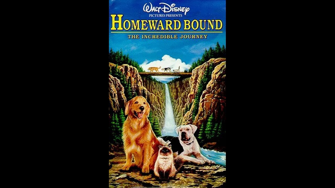 Opening to Homeward Bound: The Incredible Journey VHS (2001) - YouTube