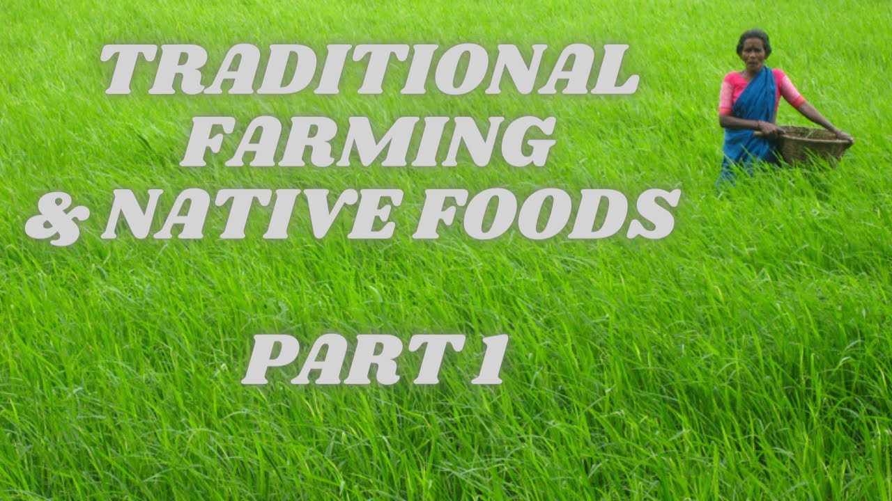 Traditional farming and native food Part-1 - YouTube