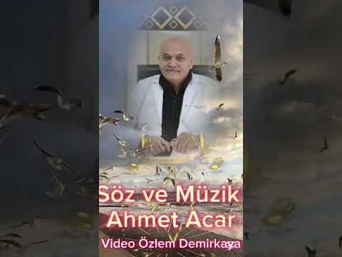 WhatsApp Video 2026 04 20 at 21 21 48
