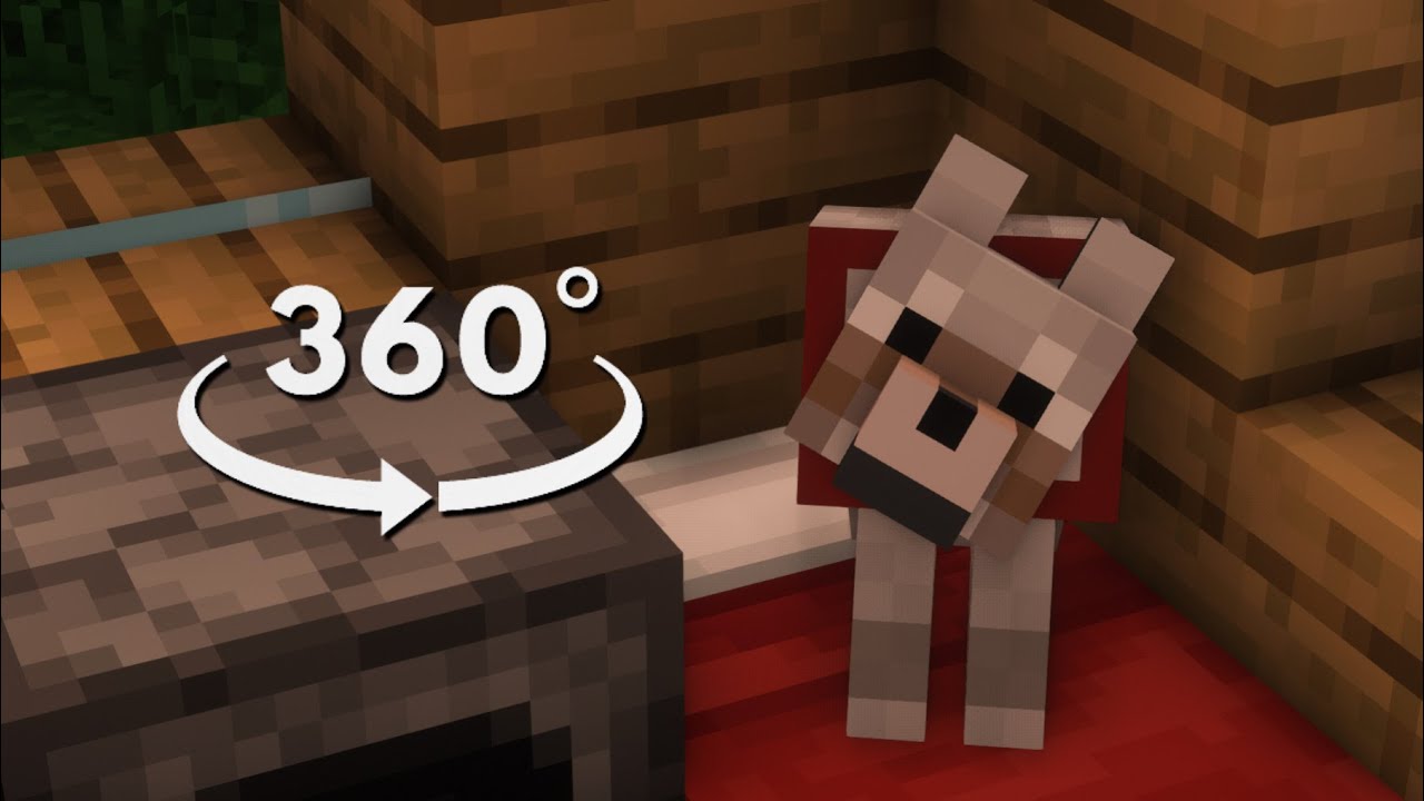 You are my Dog! (360 Degree Video) - YouTube